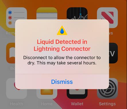 How to dry lightning connector?